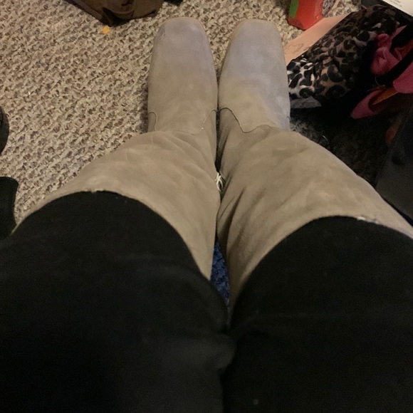 Splendid | Shoes | Tall Boots | Poshmark
